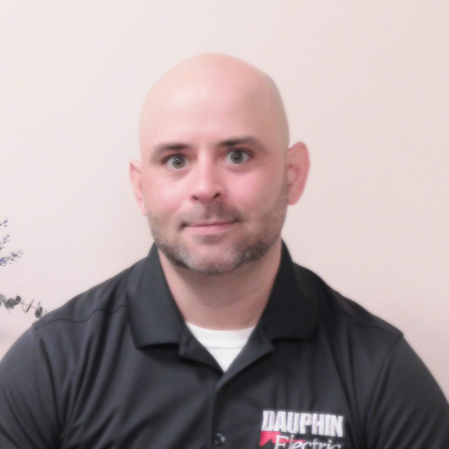 Contact Us – Dauphin Electric